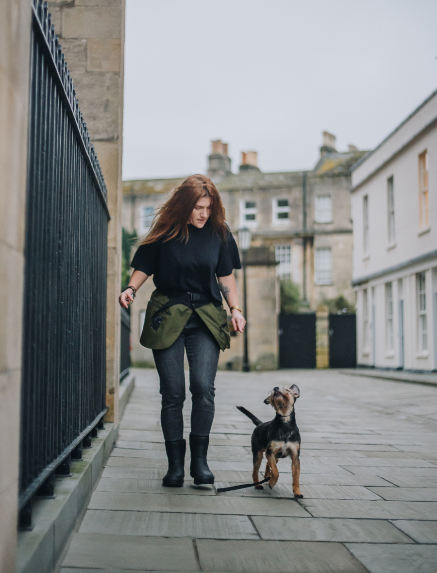 Dog Training & Walking in Bath