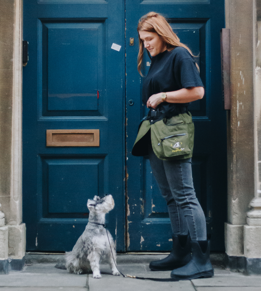 Dog Training & Walking in Bath